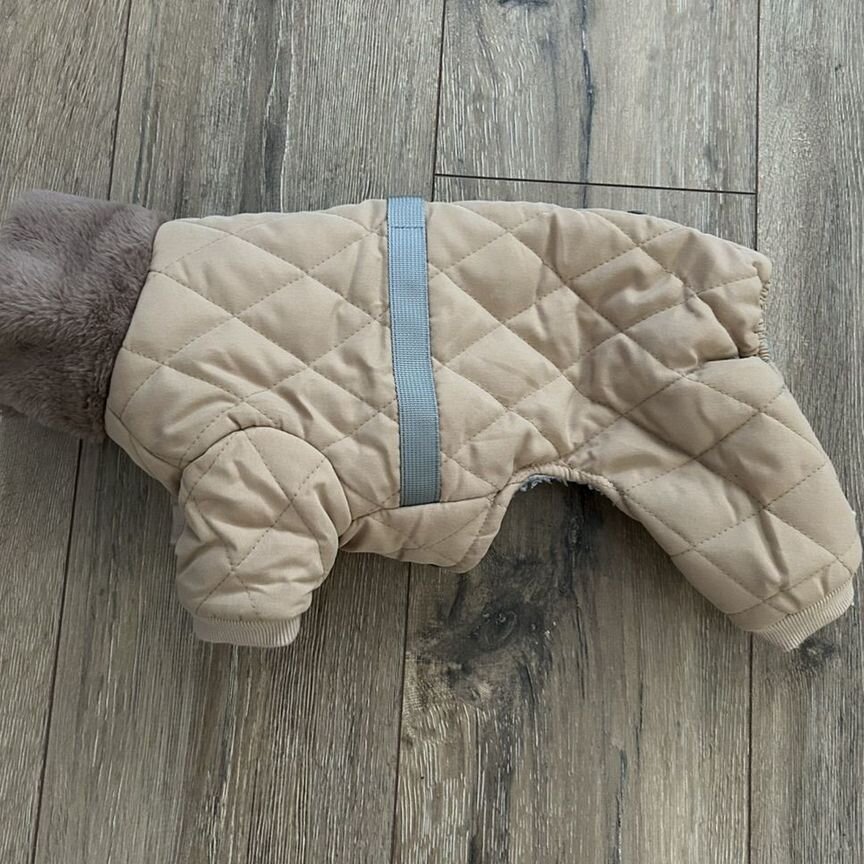 Одежда для собак