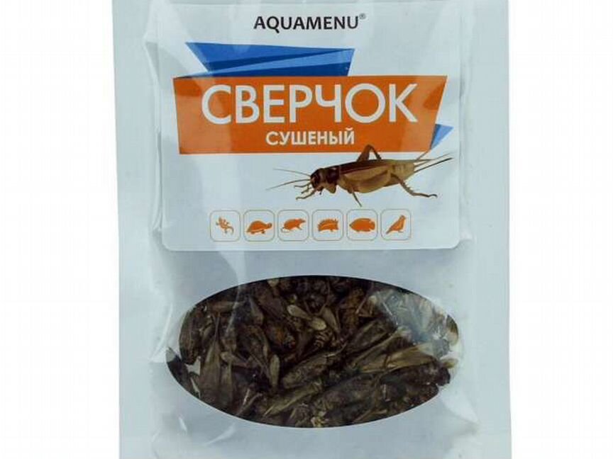 Сверчок сушеный