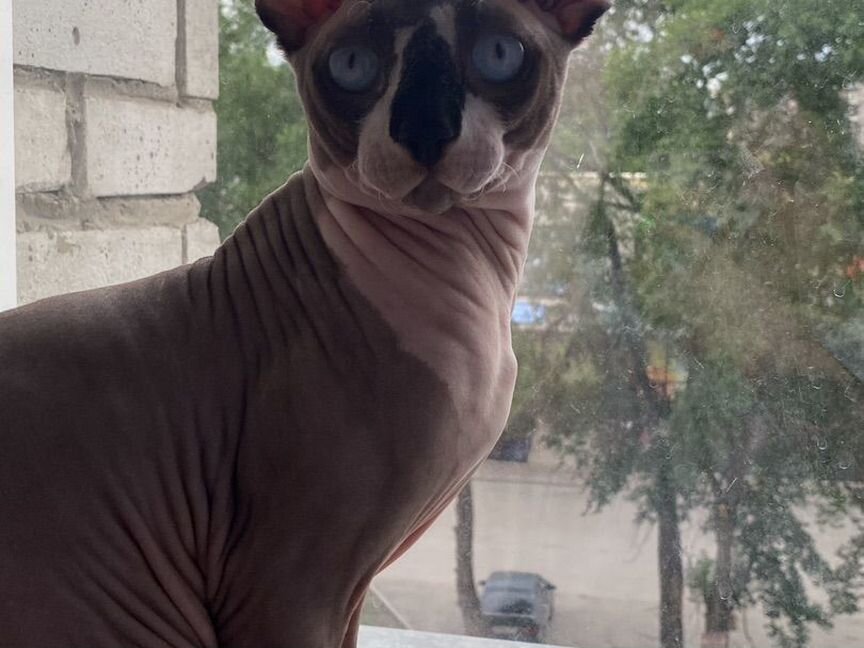 Вязка