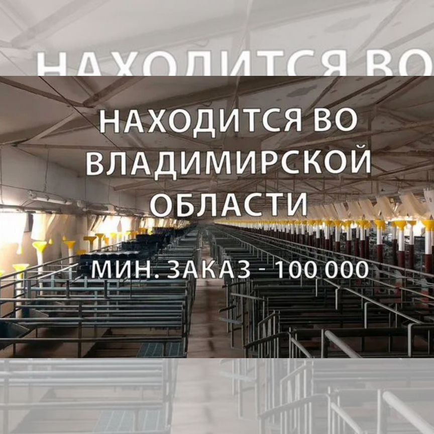 Линия кормления Roxell