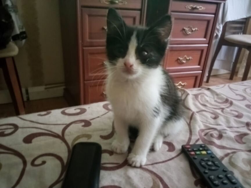 Маленькое Сокровище с особенностью