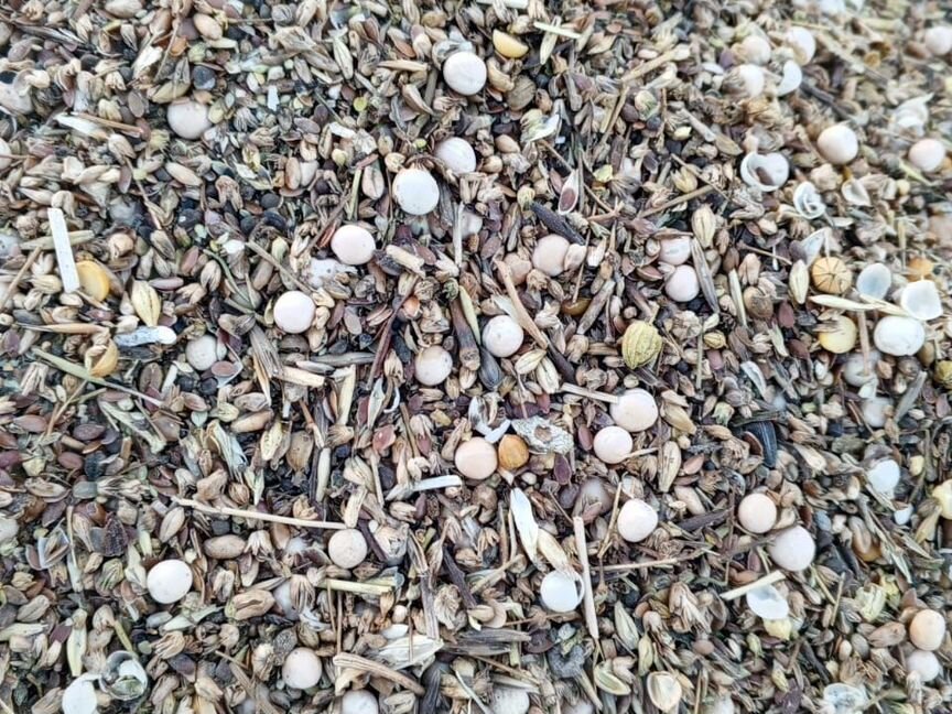 Зерноотходы