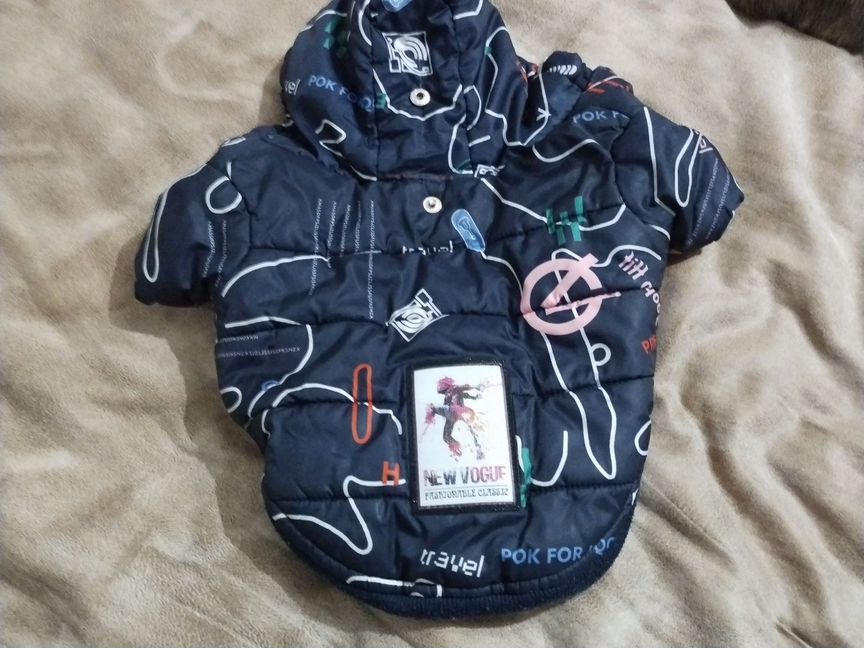 Одежда для собак мелких пород