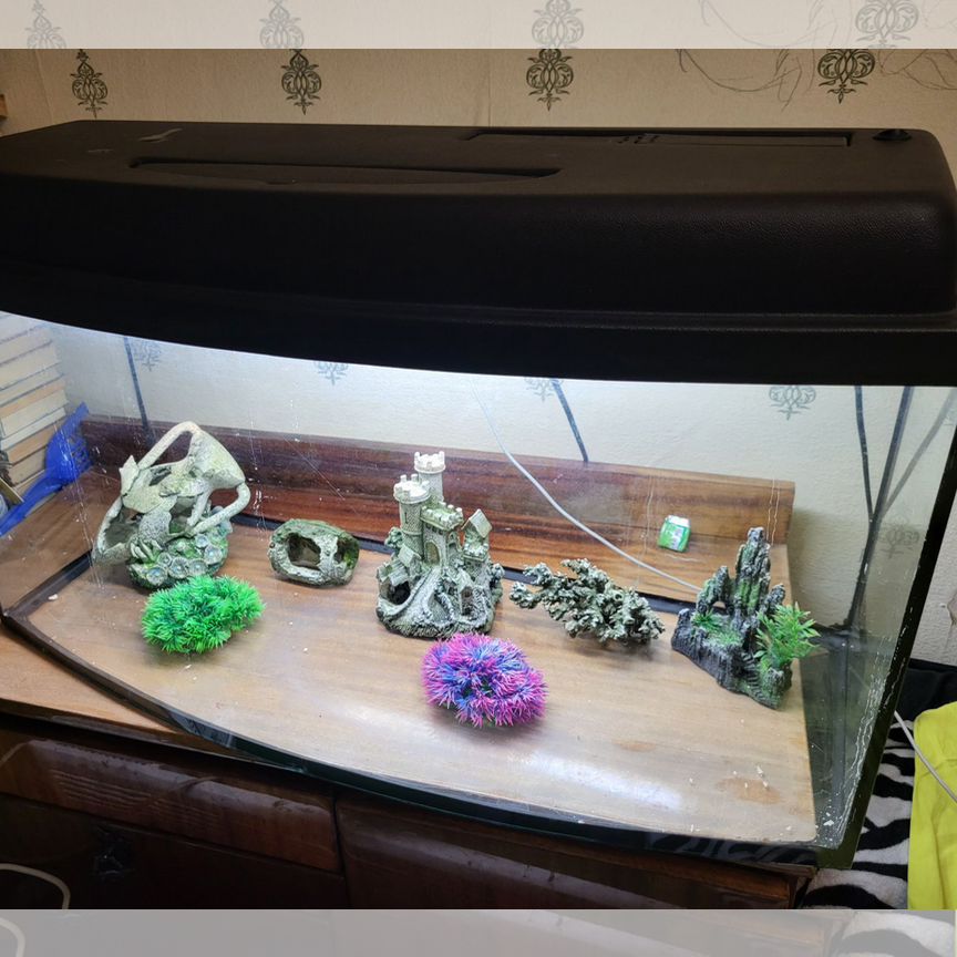 Акварум-телевизор Авгуль 100л