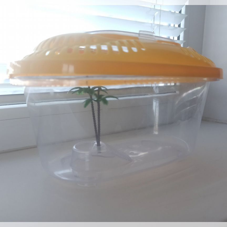 Аквариум, террариум для животных