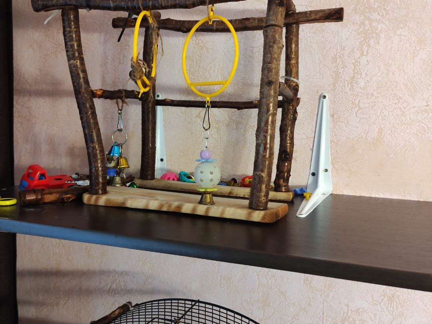 Попугаи с клеткой и тумбой под клетку