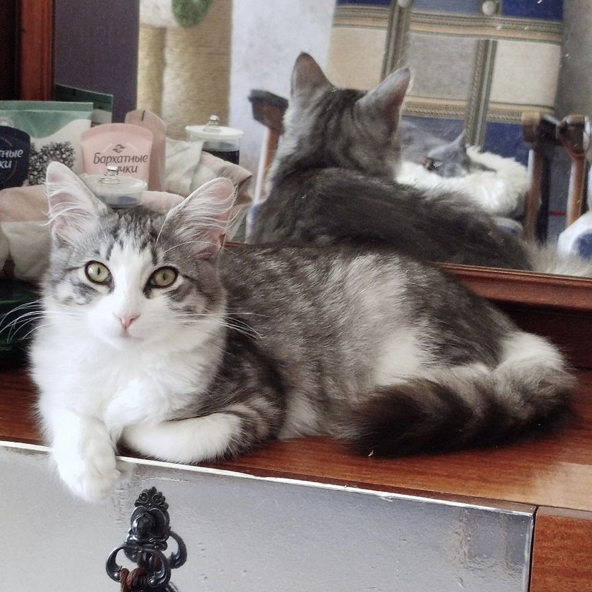 Просто красавец