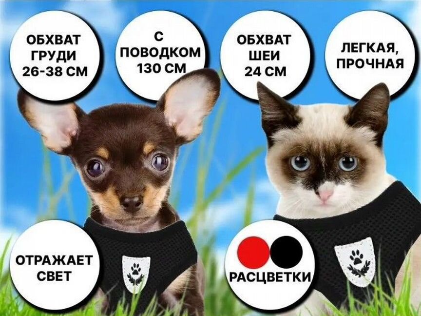 Шлейка для животных