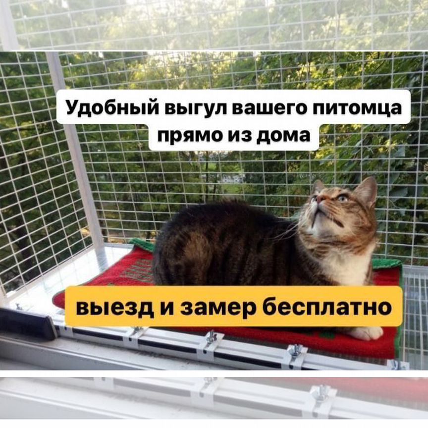 Балкончик для выгула кошки