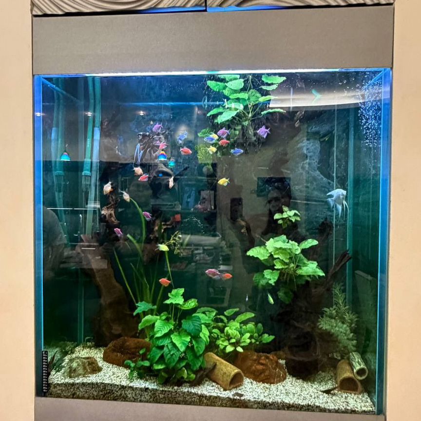 Аквариум 550 литров с оборудованием
