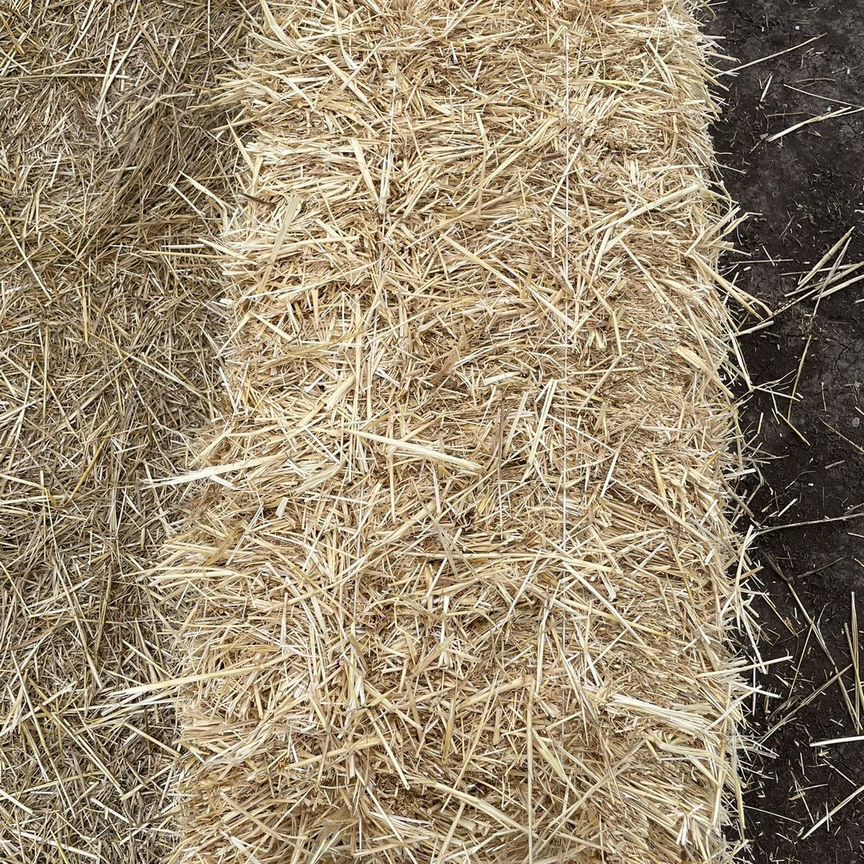 Солома в тюках