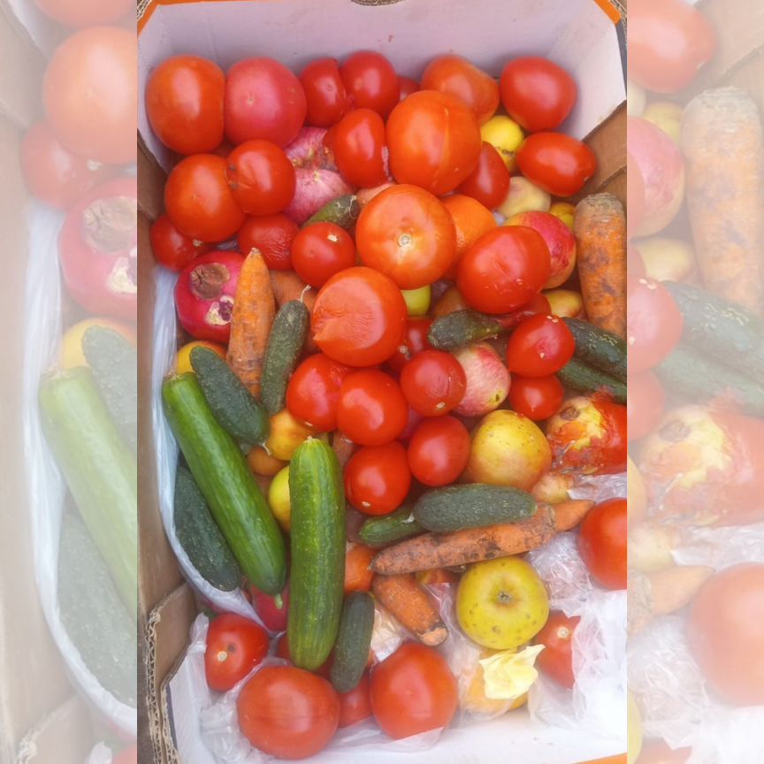 Продукты на корм животным