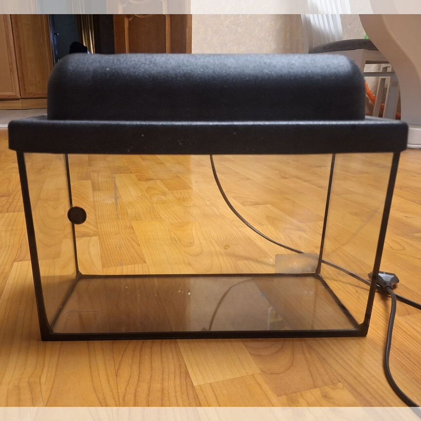 Аквариумные рыбки