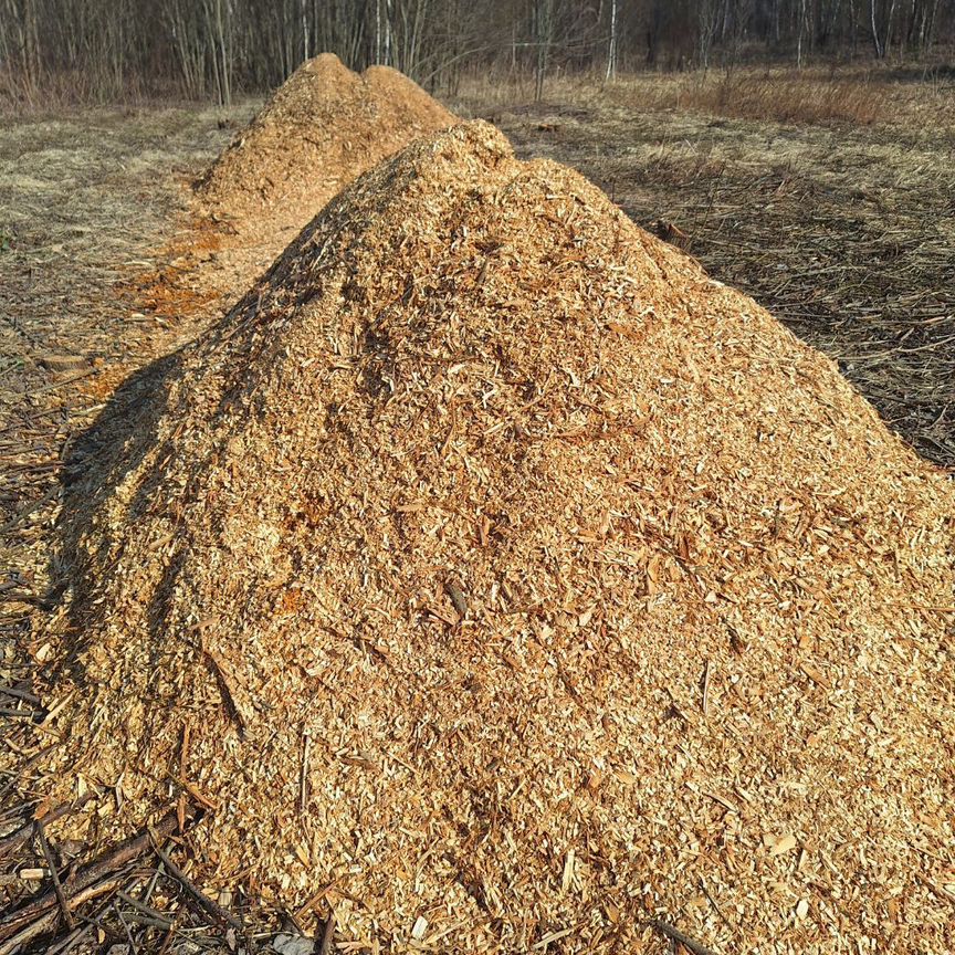 Древесная щепа бесплатно