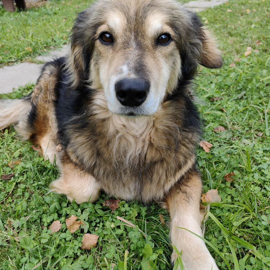 Человек найдись Зима близко