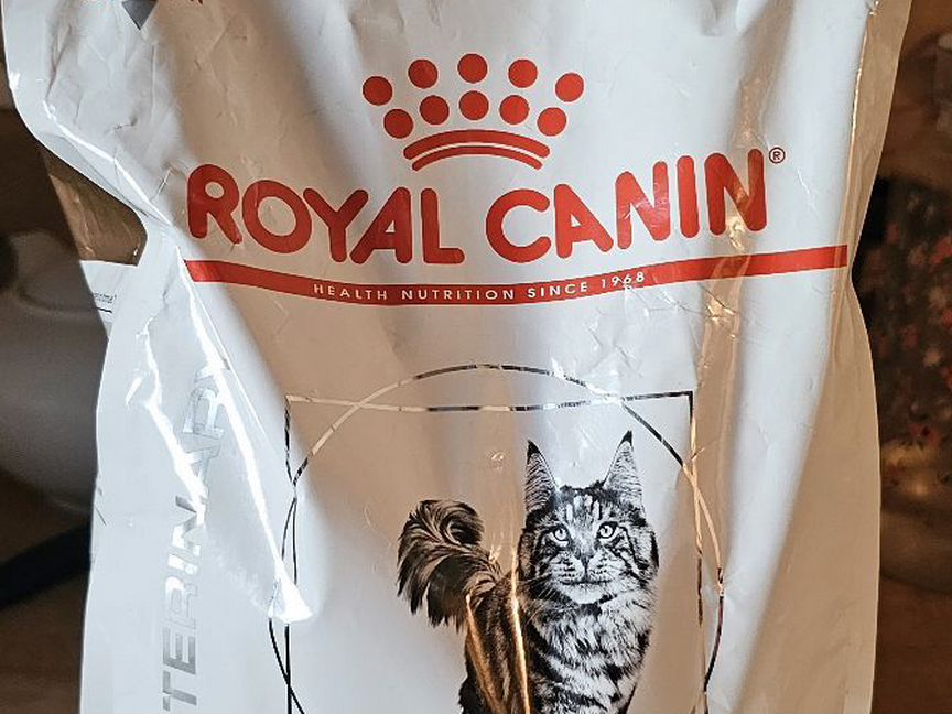 Ветеринарный корм для кошек royal canin hepatic