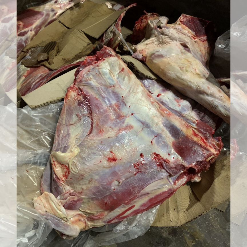 Мясо говядины для животных