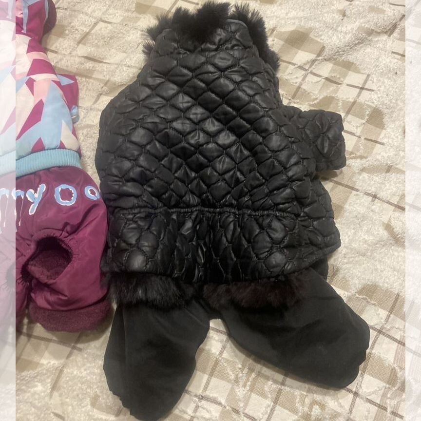 Одежда для маленьких собак