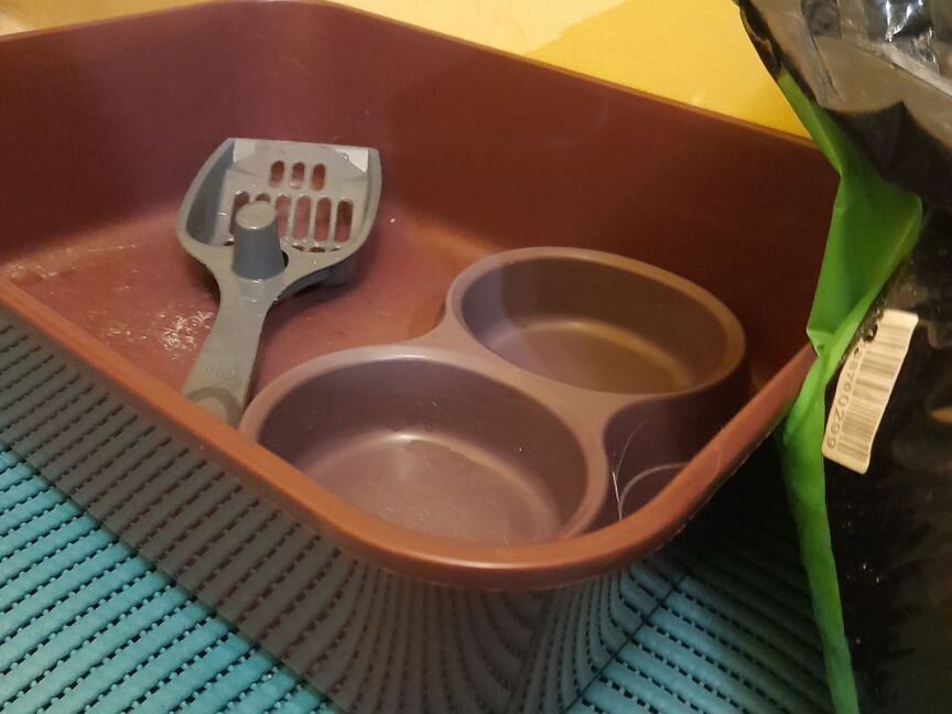 Лоток для кошек