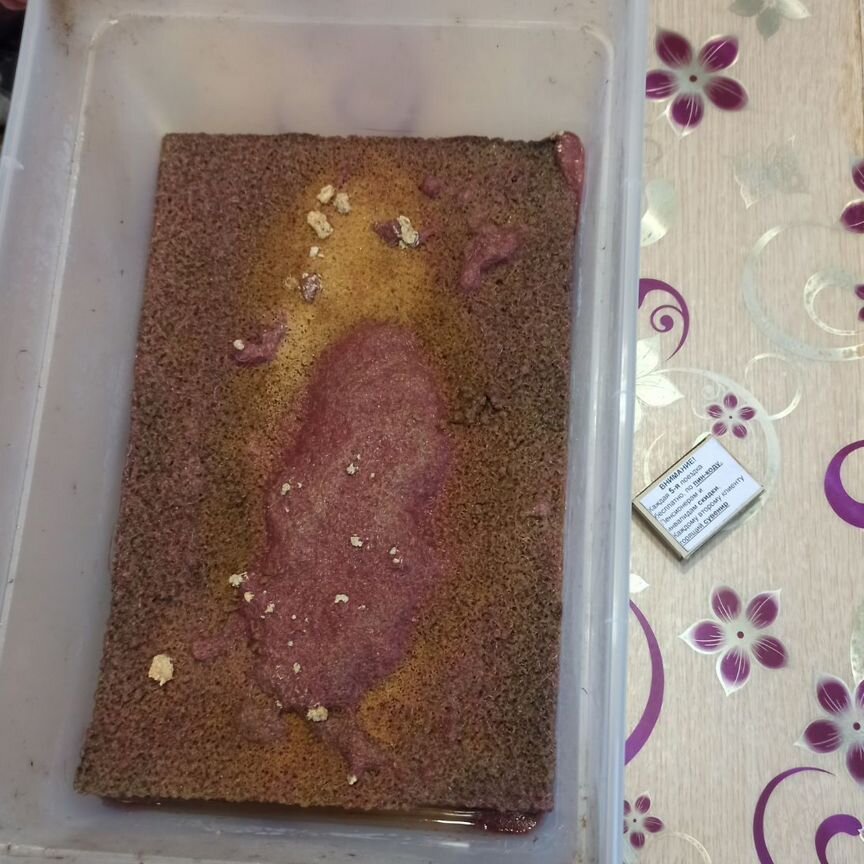 Червяк Изя,для аквариумных рыбок