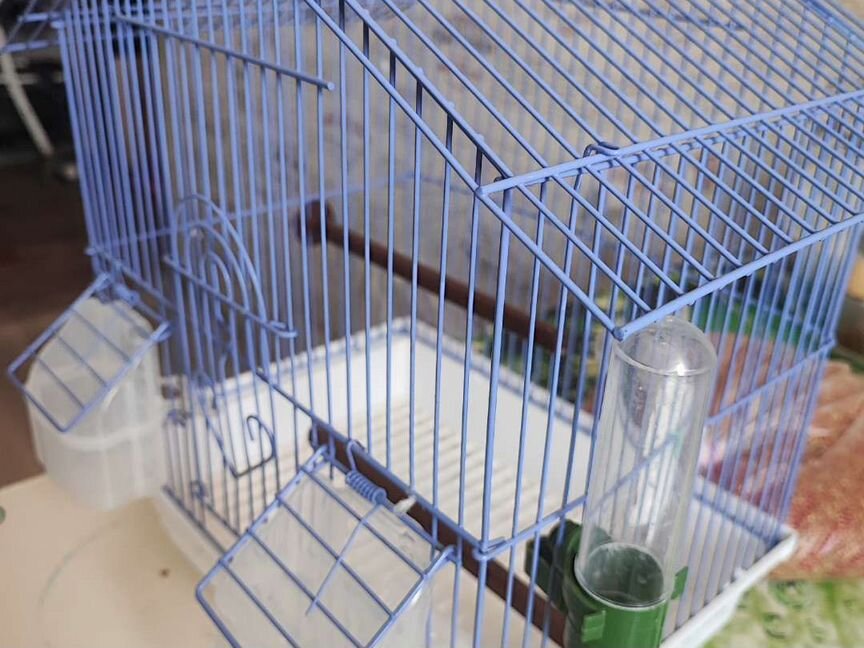 Клетка для попугая и корм