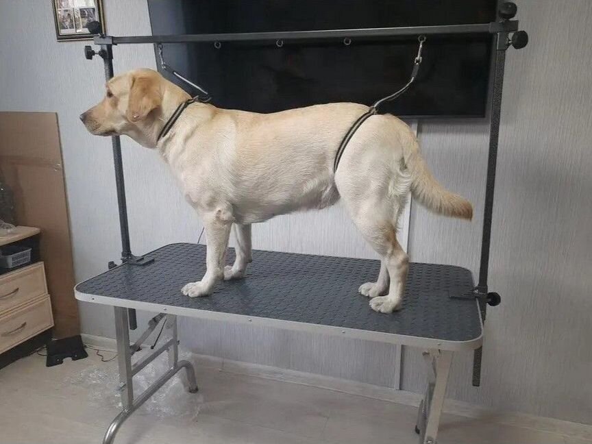 Стол для груминга собак