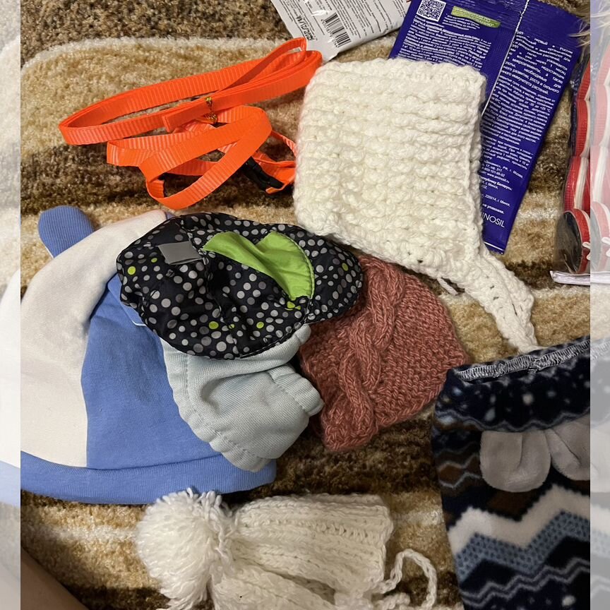 Вещи на маленькую собаку