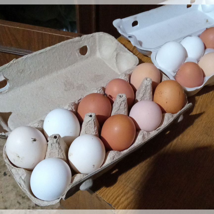 Яйцо домашнее(с доставкой 60 штук)