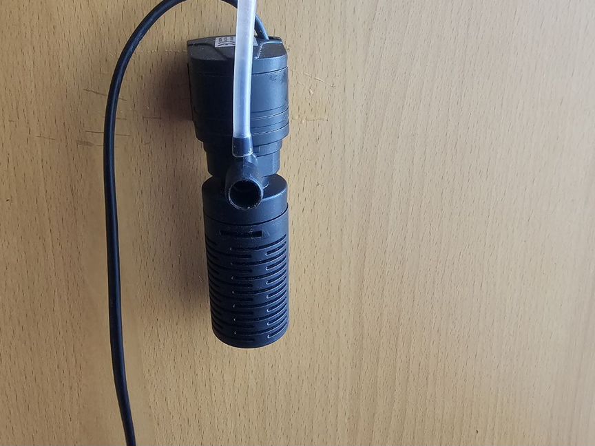 Аквариумные рыбки гуппи Сакварема