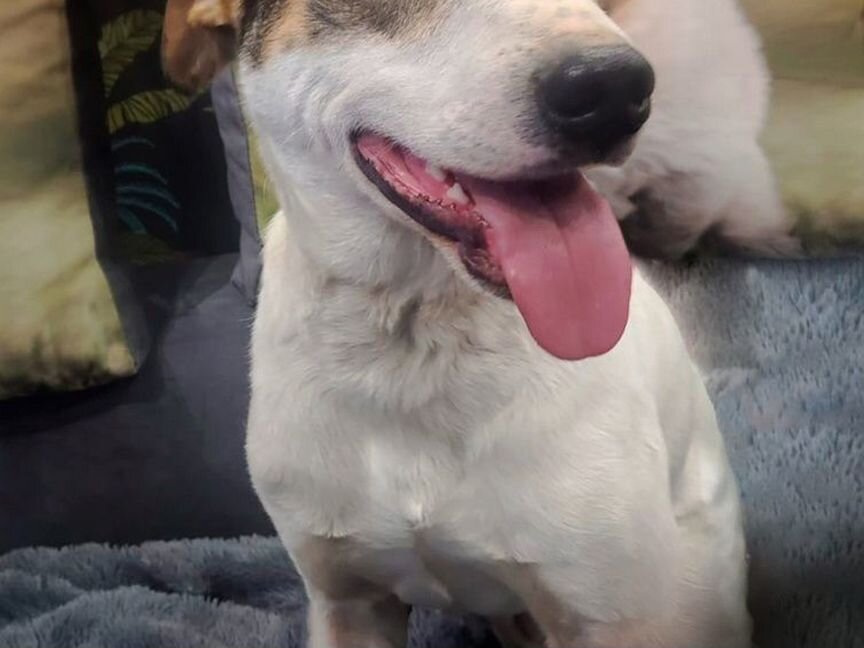 Великолепный Кабо