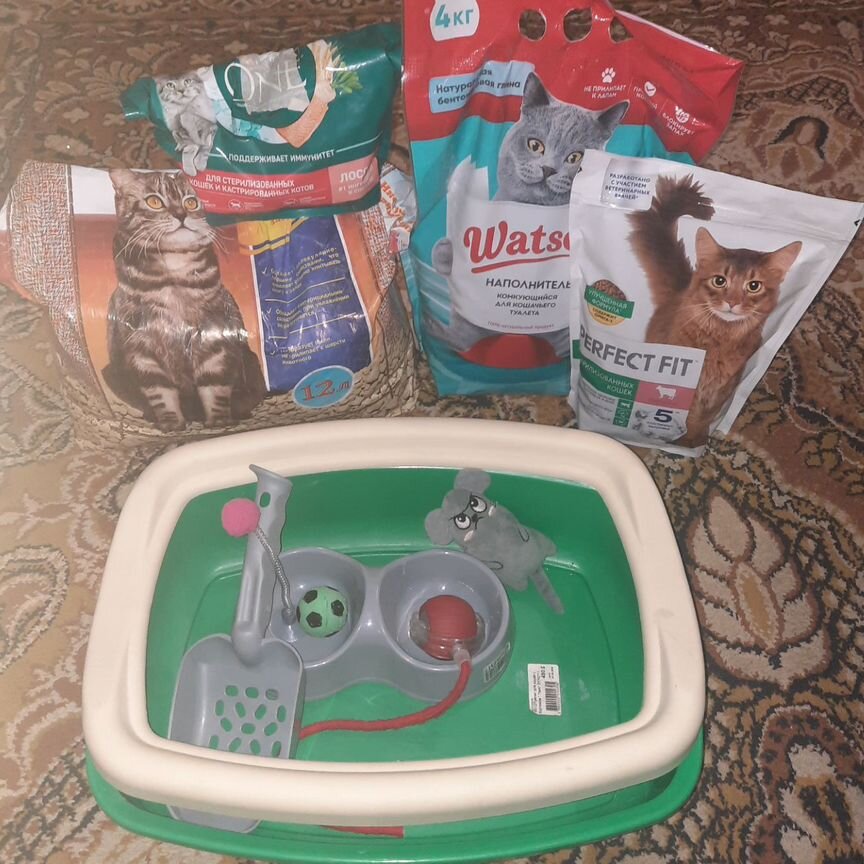 Всё сразу для вашей кошечки или кота