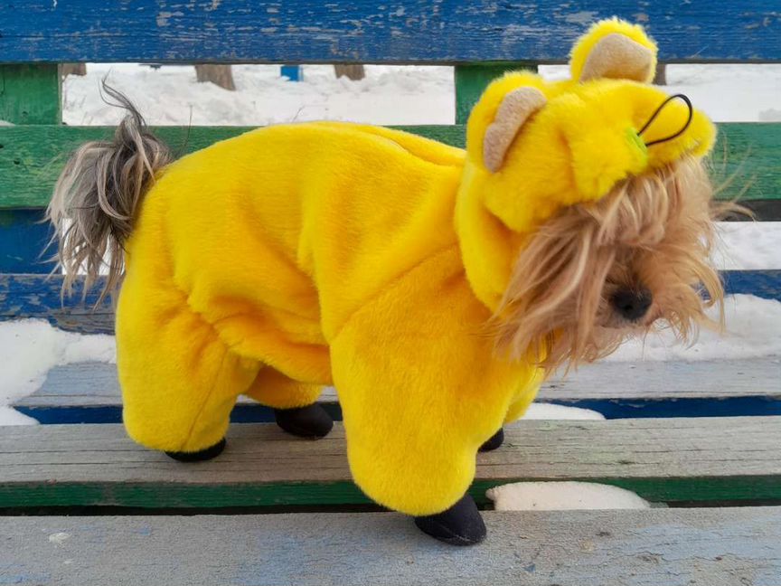Комбенизон
