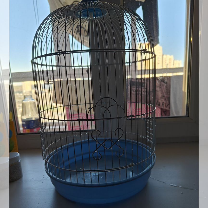 Набор для волнистого попугая(Клетка и т.д.)