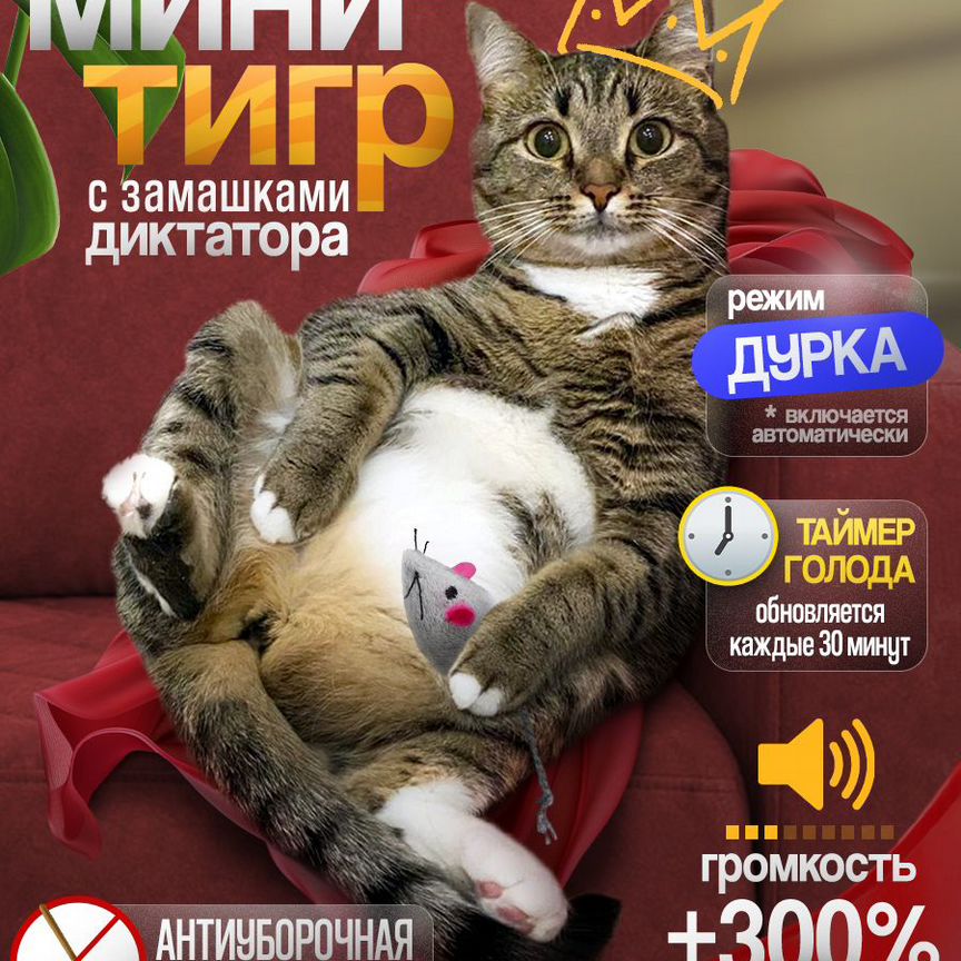 Домашняя кошка с замашками диктатора