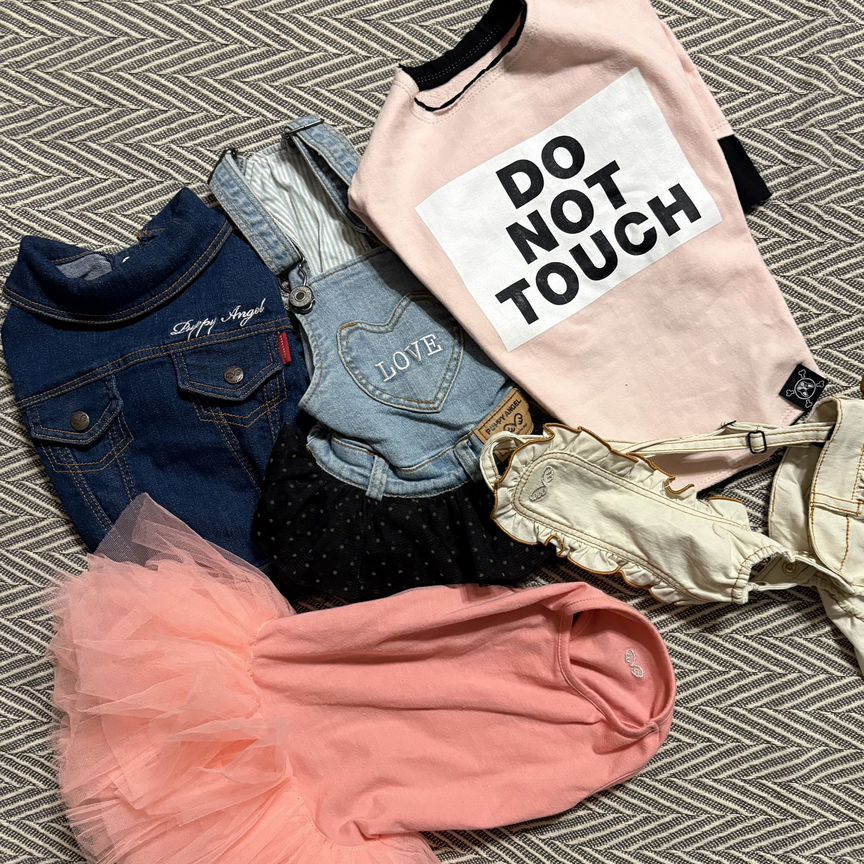 Одежда для собак puppy angel