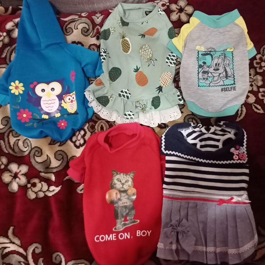 Вещи для собачки