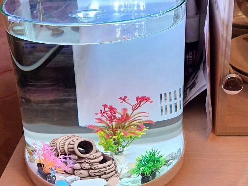 Аквариум и все для аквариума