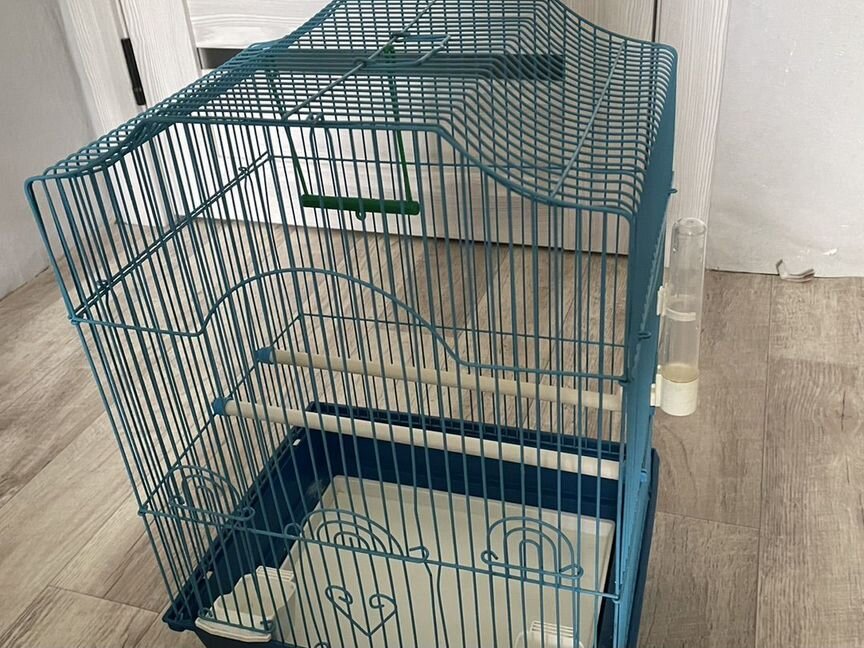 Клетка для попугая бу