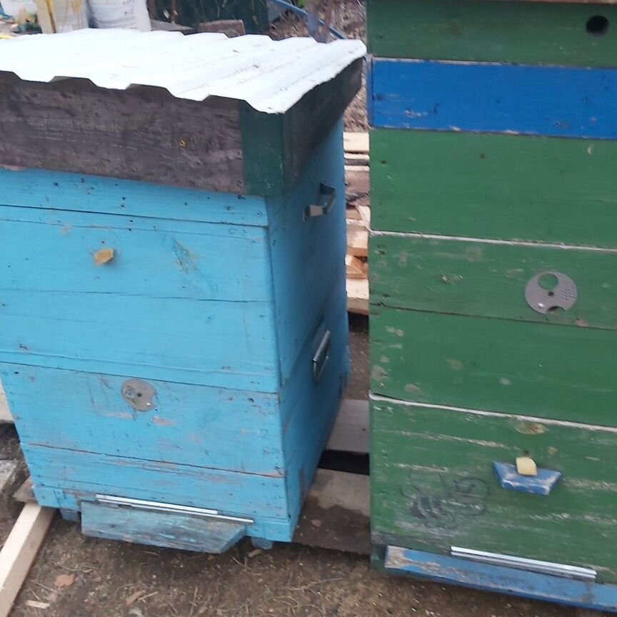 Продам ульи для пчел