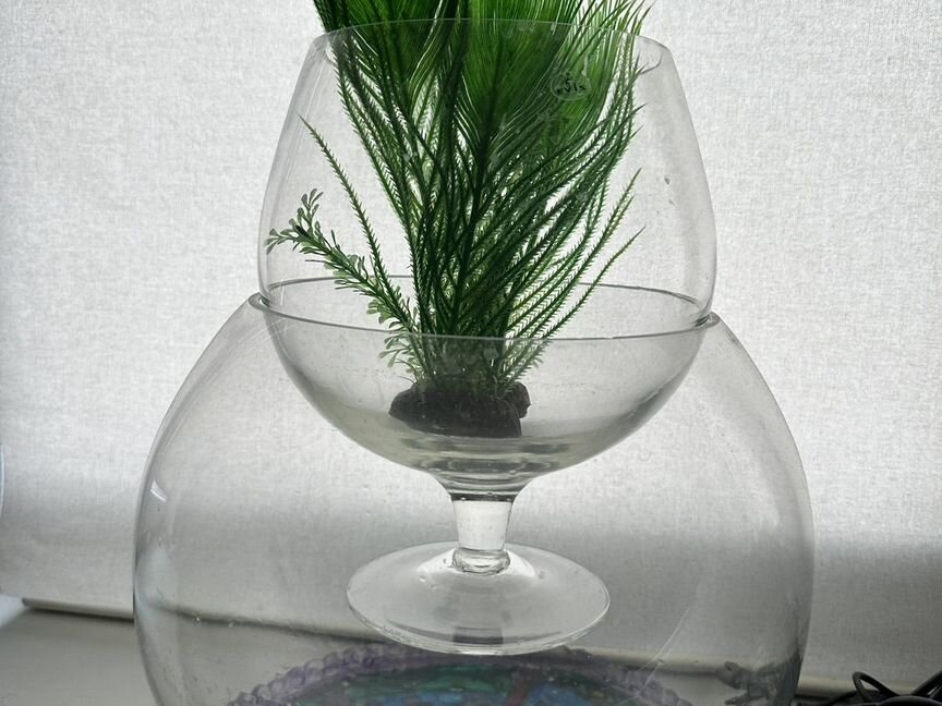 Набор аквариумов