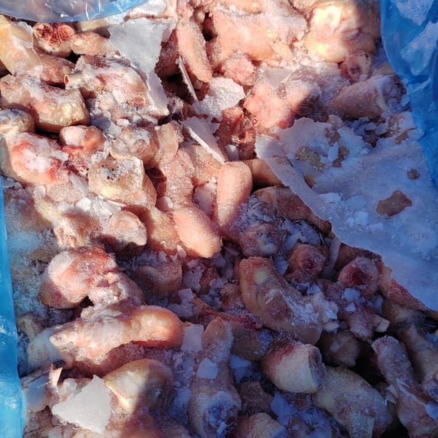 Сустав хрящевой с куриной голени