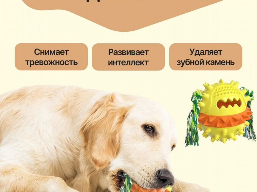 Игрушка-кормушка для животных