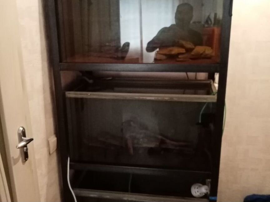 Продаю стойку под 4 аквариума вместе с аквариумами