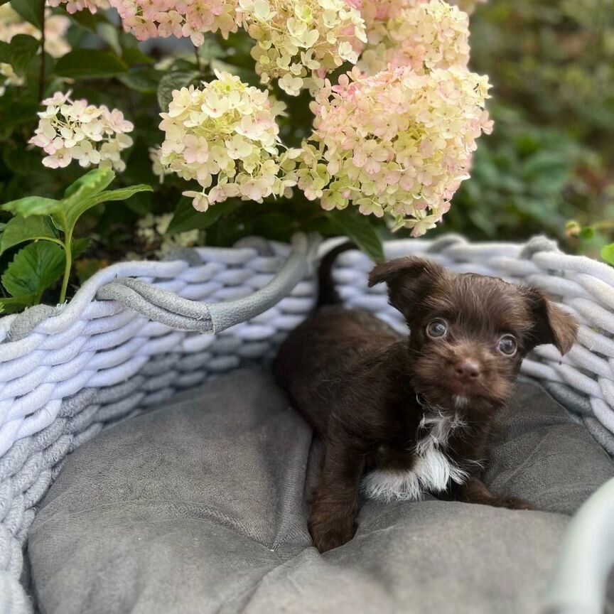 Мальчик спальчик