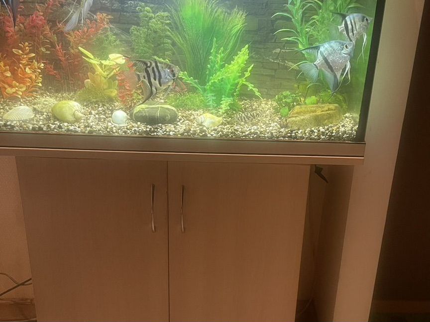 Аквариум с тумбой и рыбками
