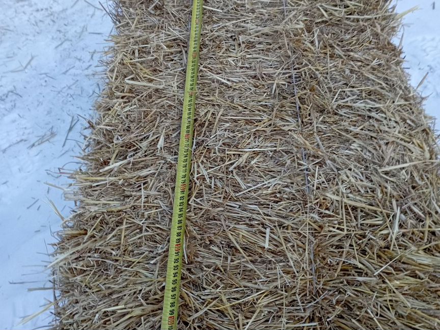 Солома в тюках, ячмень