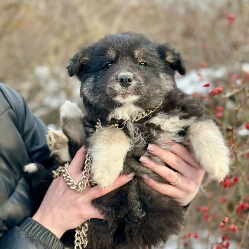 Мальчишка, будет ниже среднего