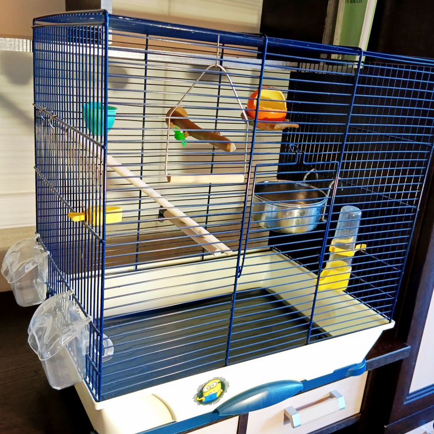 Большая клетка для птиц