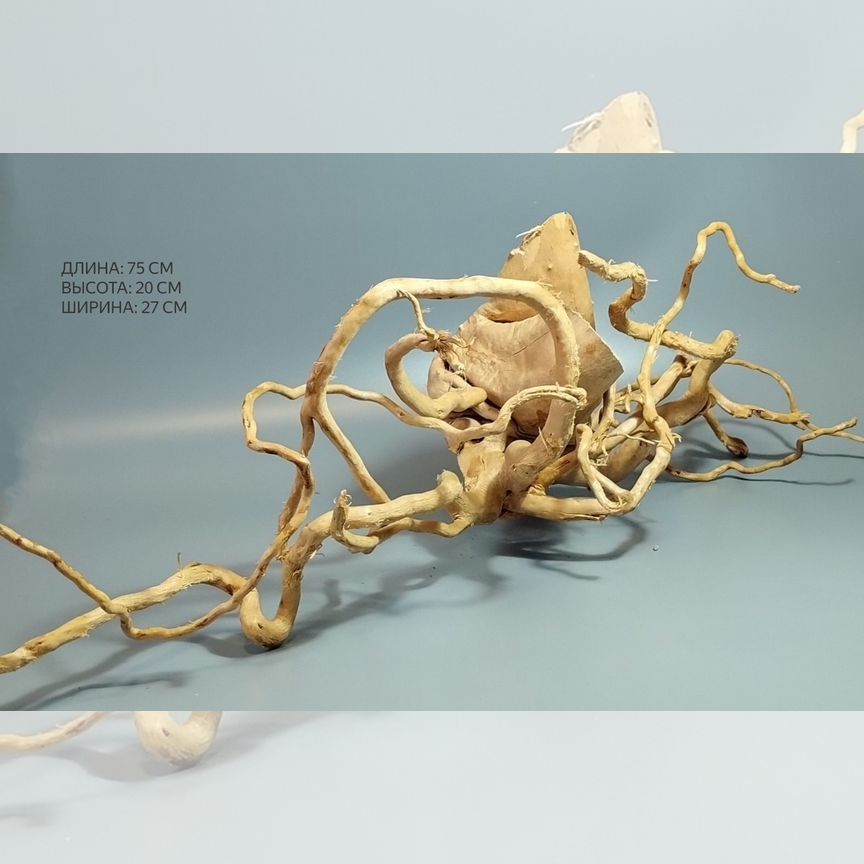 Коряга для аквариума паучий корень 75*27*20 вк13