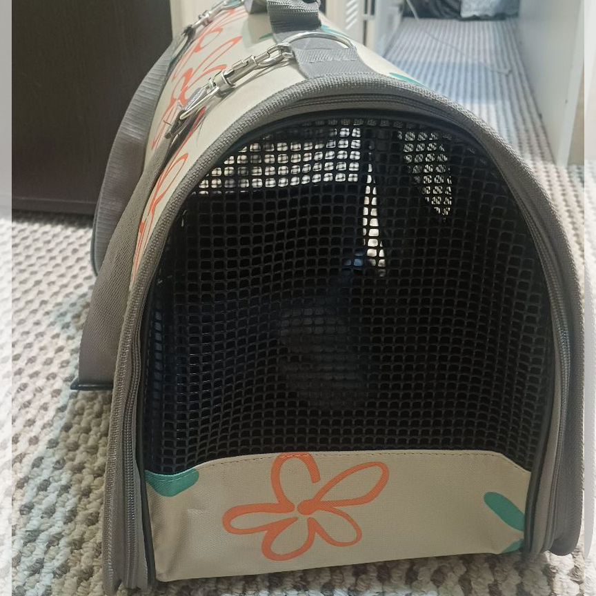 Переноска для кошек новая